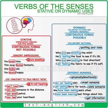7b: Advanced English Grammar - Verbs of the senses